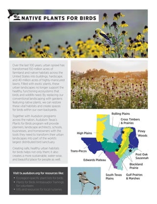 Urban Conservation Booklet 072916 | PDF | Birdwatching | Hobbies ...