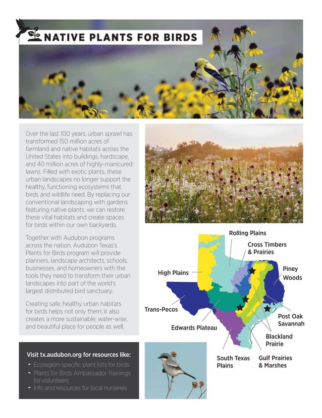 Urban Conservation Booklet 072916 | PDF | Birdwatching | Hobbies ...