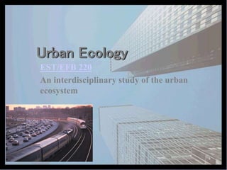 urbanecology and urban design redevelopment | PPT