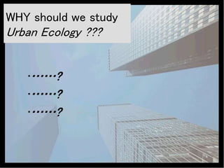 urbanecology and urban design redevelopment | PPT