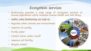 Urban ecology and sustainability | PPTX