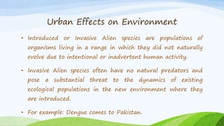 Urban ecology and sustainability | PPTX