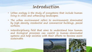 Urban ecology and sustainability | PPTX
