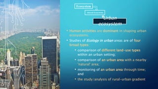 Urban Ecology @Lecture 2.pptx
