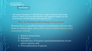 Urban Ecology @Lecture 2.pptx
