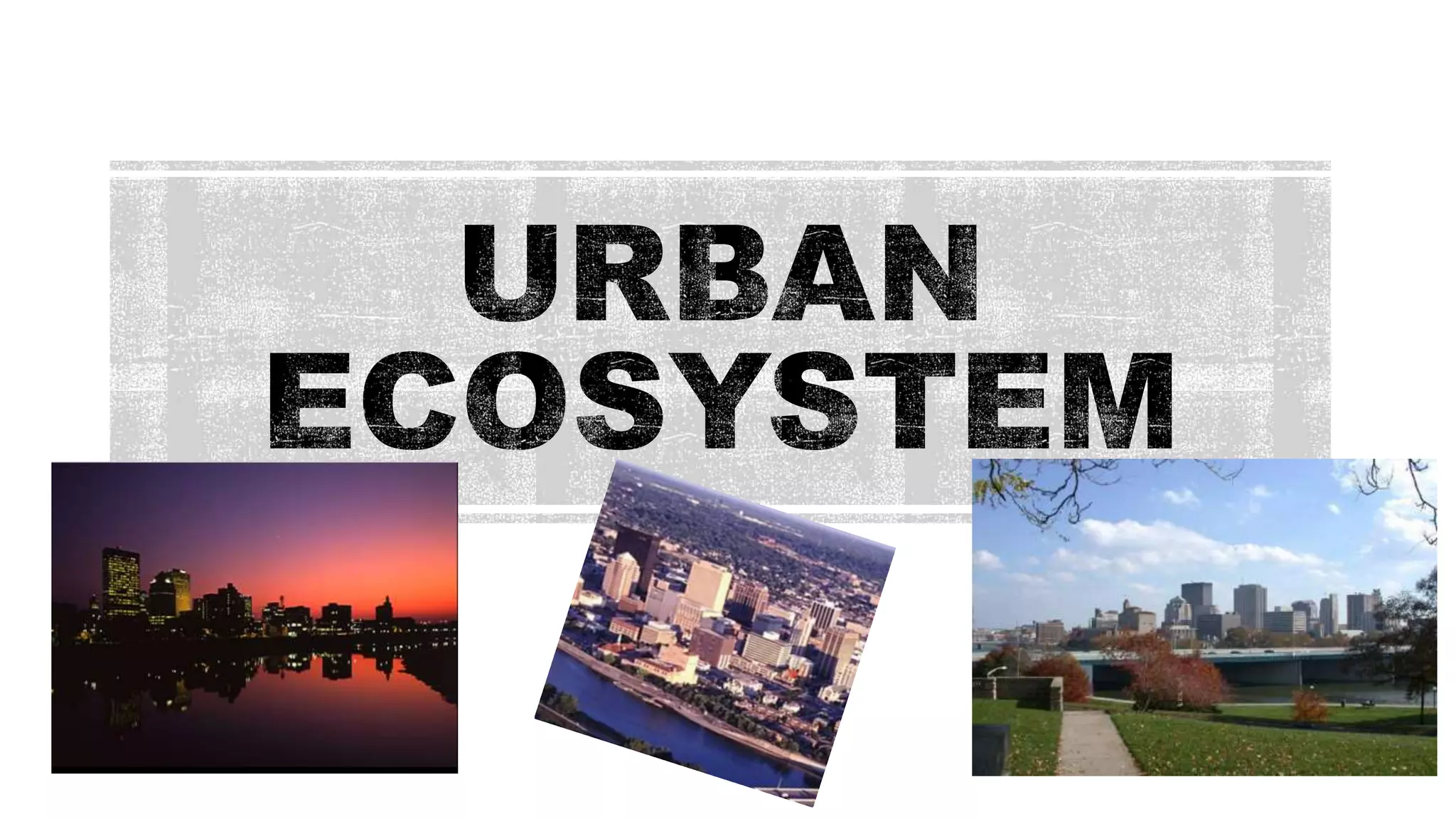 URBAN ECOSYSTEM.pptx
