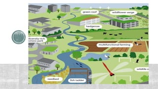 URBAN ECOSYSTEM.pptx