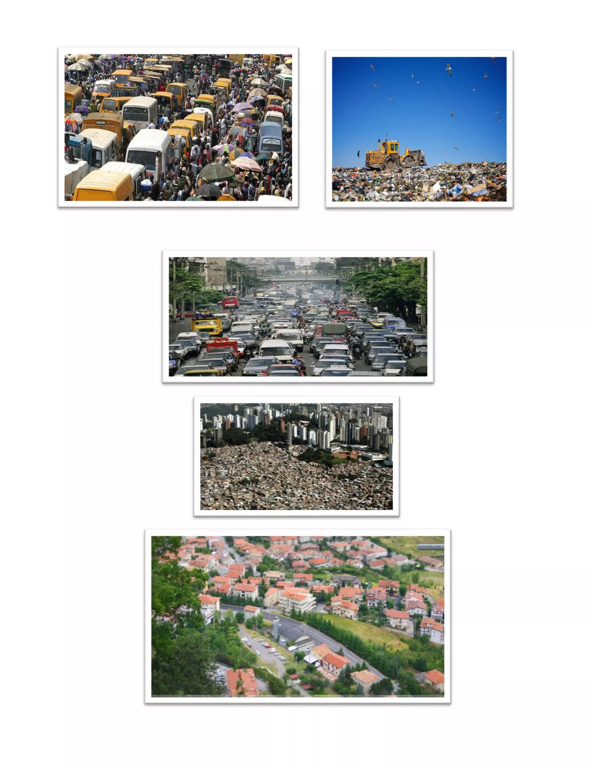 Urban environmental problems;consumerism & waste products | PDF