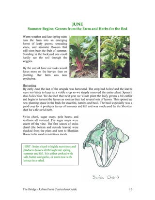 Urban Farm Curriculum Guide | PDF