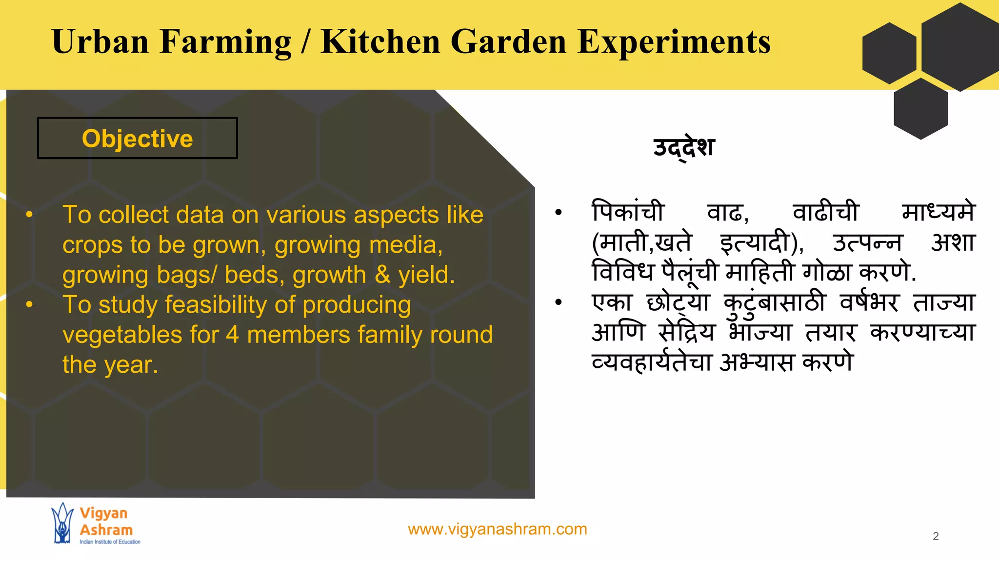 Urban Farming Kitchen Garden | PPT