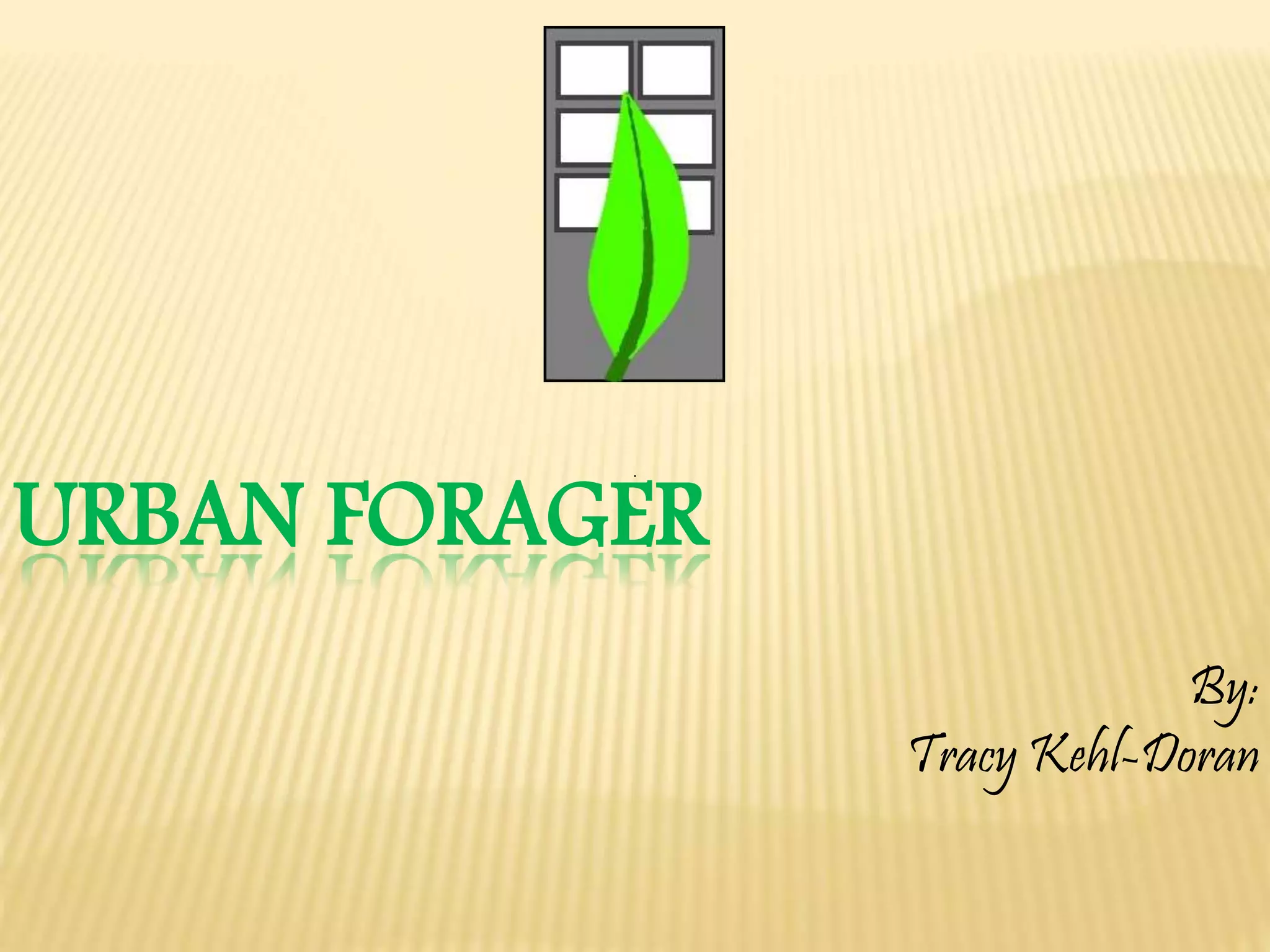 Urban Forager Presentation | PPTX