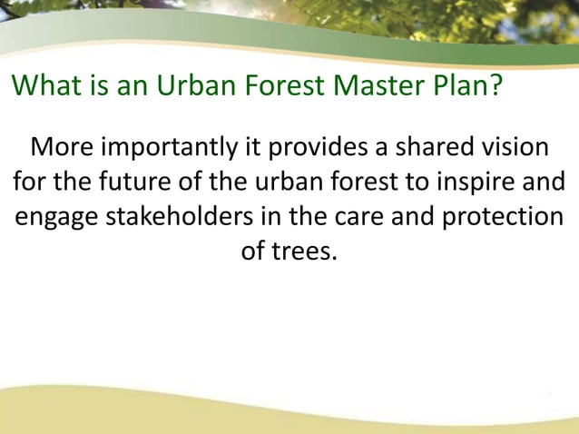 Urban Forestry Master Plan | PPTX | Business | Business and Finance