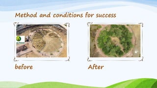 Urban forestry Miyawaki method | PPTX