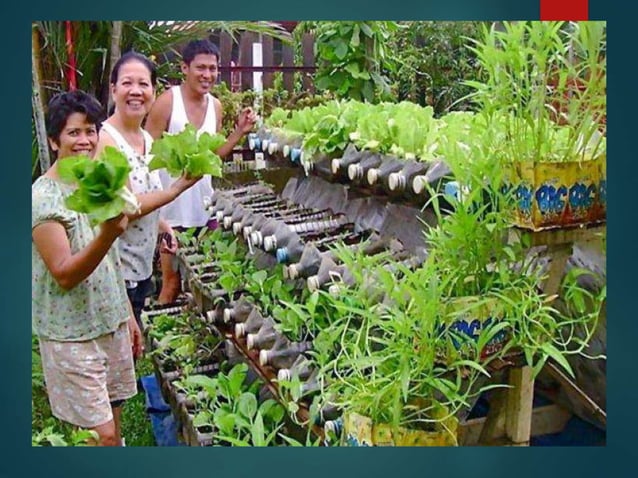 Urban gardening.pptx | Agriculture | Industries