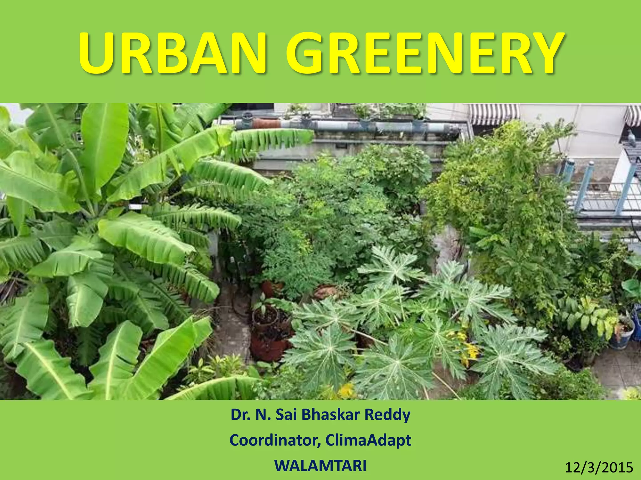 Urban Greenery ways and means | PPTX