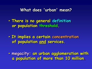 Urban Hazards and Megacities | PDF