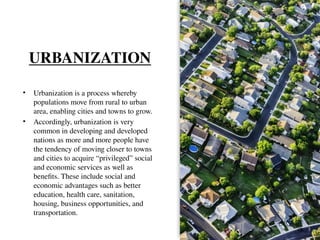 Urbanisation, it's Causes and Impacts.pptx