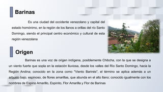Barinas Edo, Barinas | PPTX