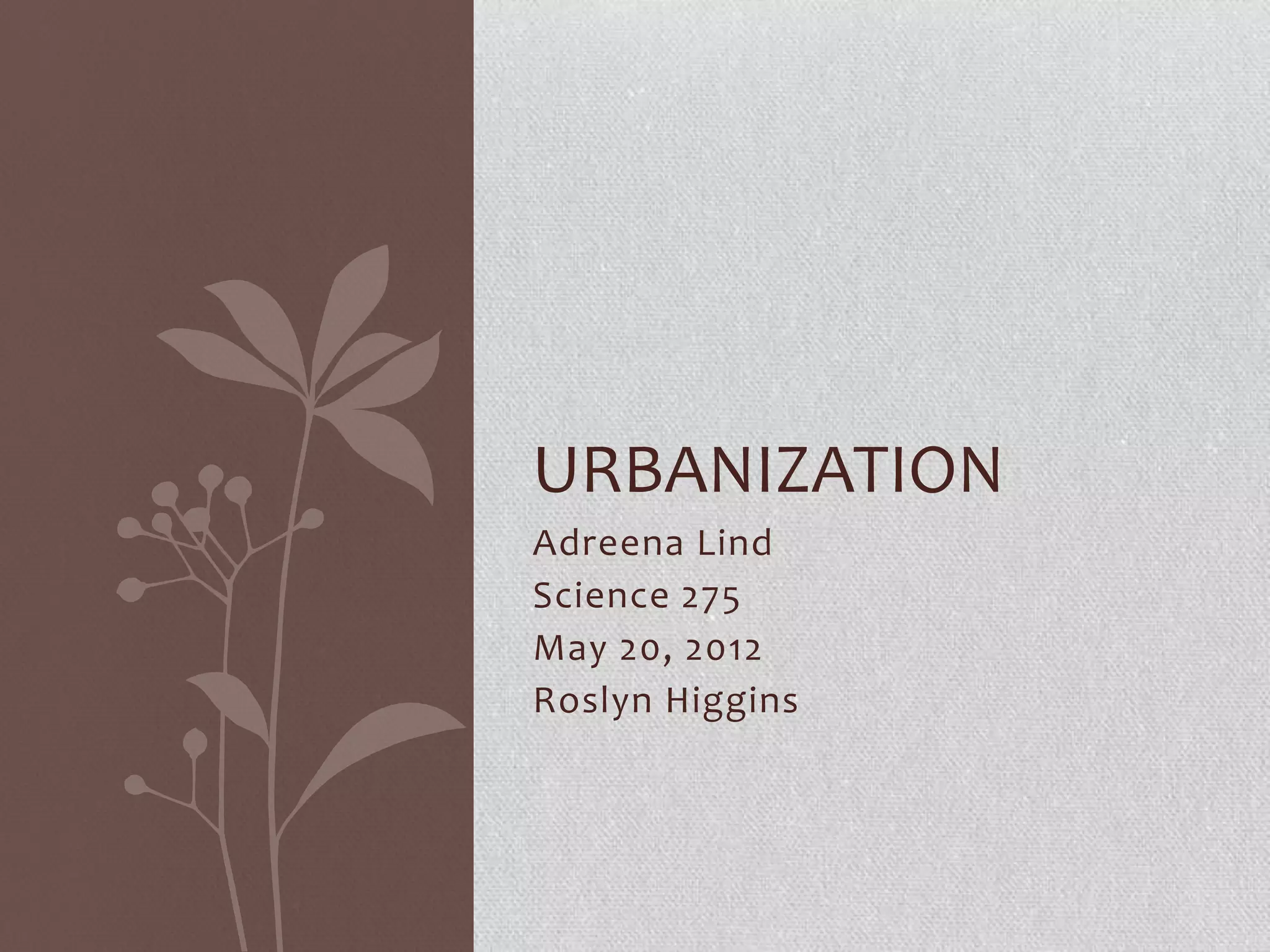 Urbanization | PPT