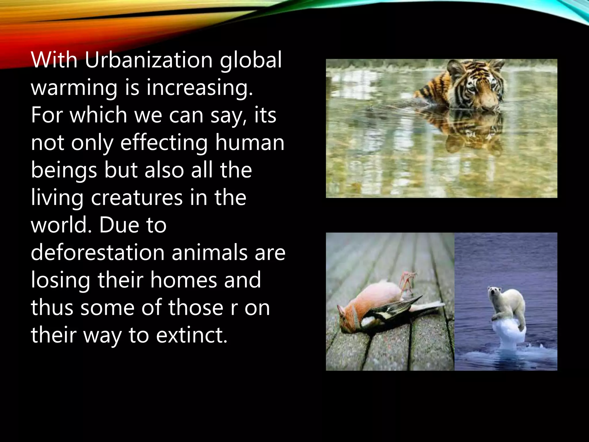 Urbanization and its effect on food security | PPTX