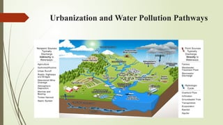 Urbanization and Its Effects on Water Quality.pptx