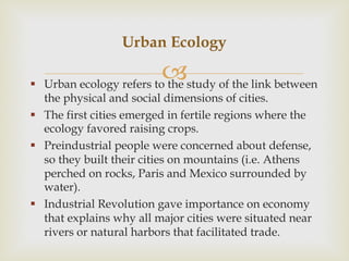 Urbanization: A Concept, Nature and Explanation | PDF