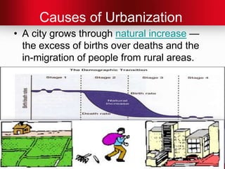 Urbanization presentation1 | PPTX