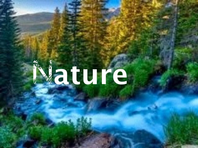 Urbanization vs. Nature | PDF