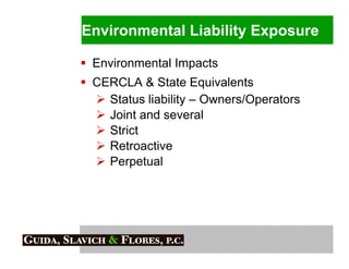 Managing And Mitigating Environmental Risks - Urban Land Institute | PDF