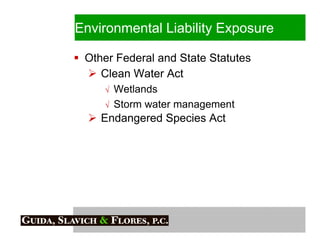 Managing And Mitigating Environmental Risks - Urban Land Institute | PDF