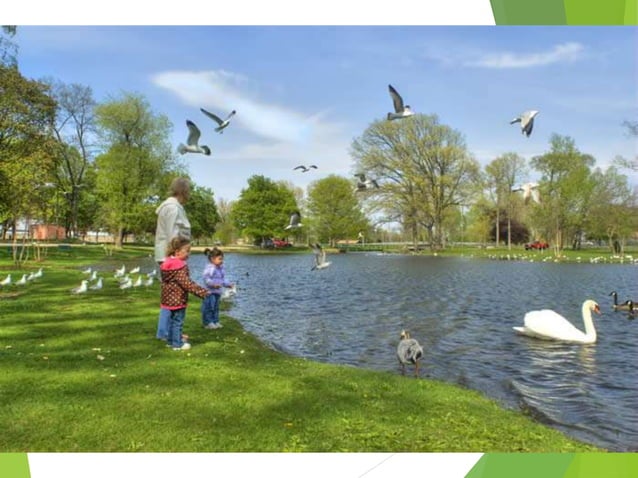 Urban open spaces | PPTX | Parks | Attractions