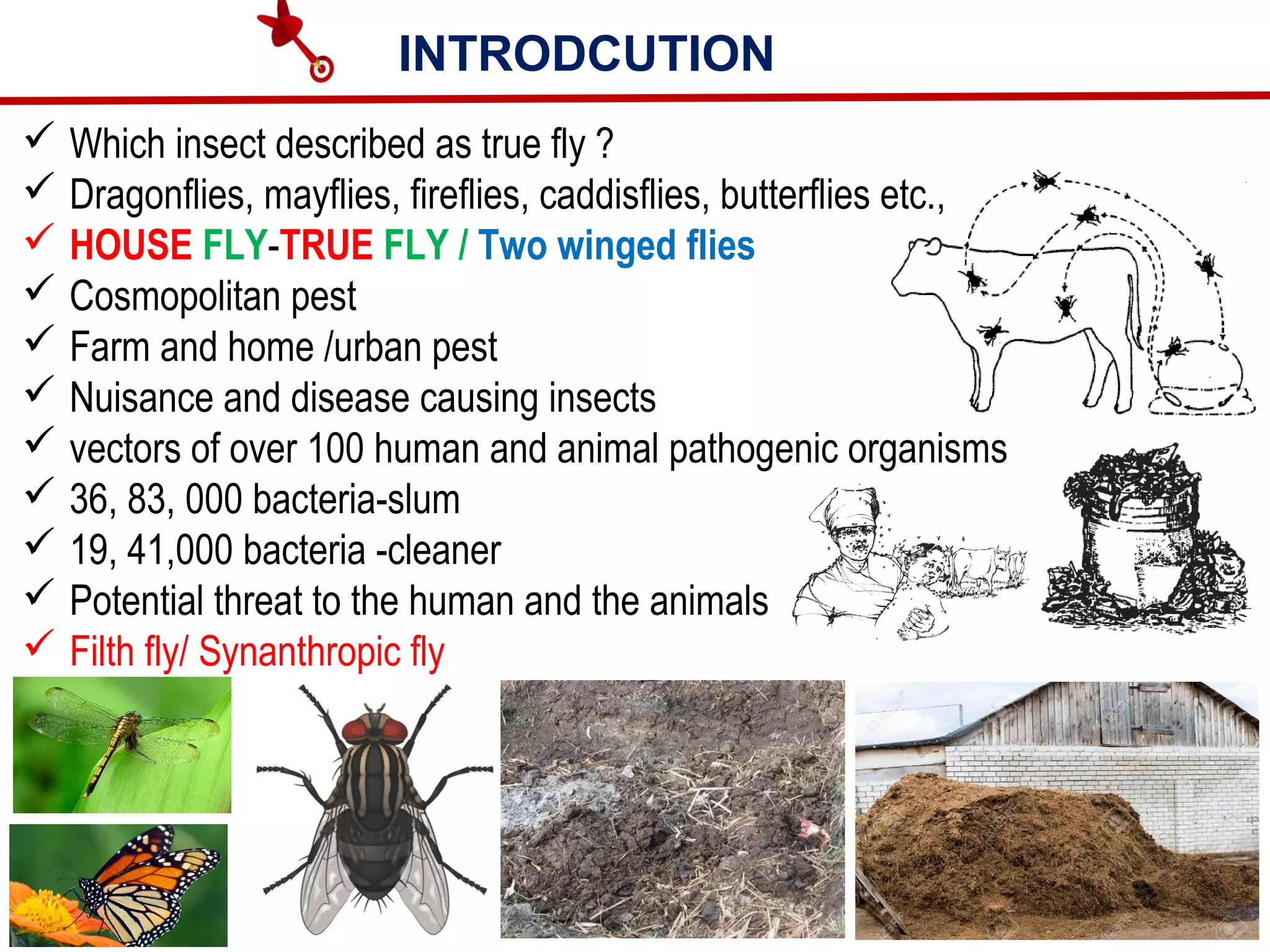 Urban pest house fly-ssnaik tnau Ph.D Scholar | PPT
