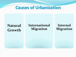 Causes of Urbanisation | PDF