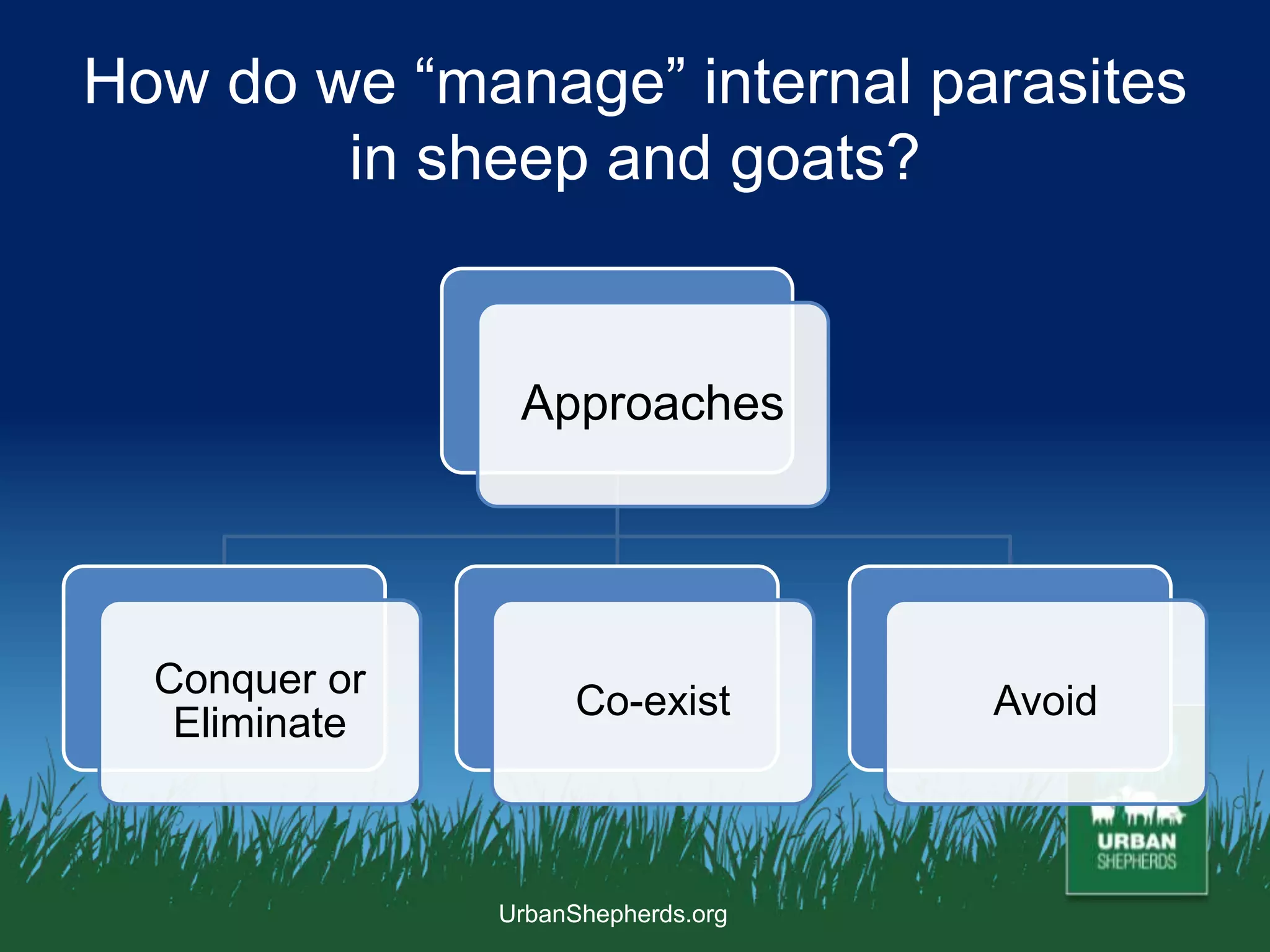 Internal Parasite Management in Pasture-Based Sheep | PPTX | Infectious ...