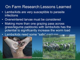 Internal Parasite Management in Pasture-Based Sheep | PPTX