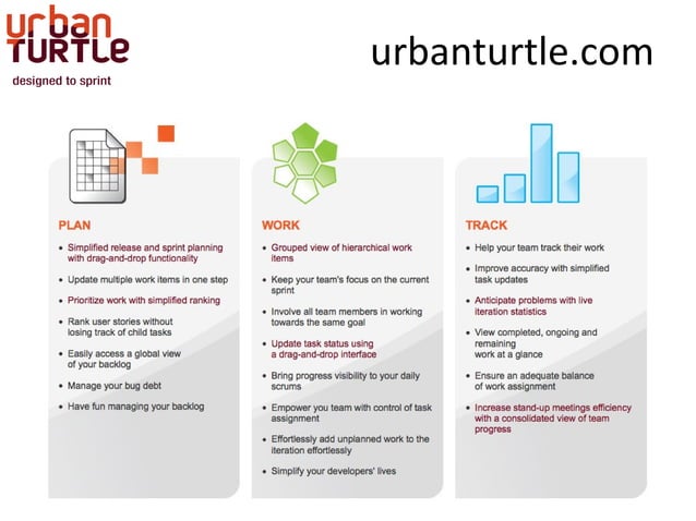 Urban Turtle | PPT
