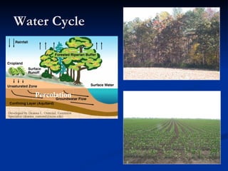 Urban Water Quality Issues - Introduction to Urban Stormwater | PPT