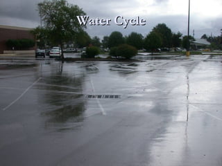 Urban Water Quality Issues - Introduction to Urban Stormwater | PPT
