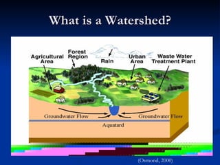 Urban Water Quality Issues - Introduction to Urban Stormwater | PPT