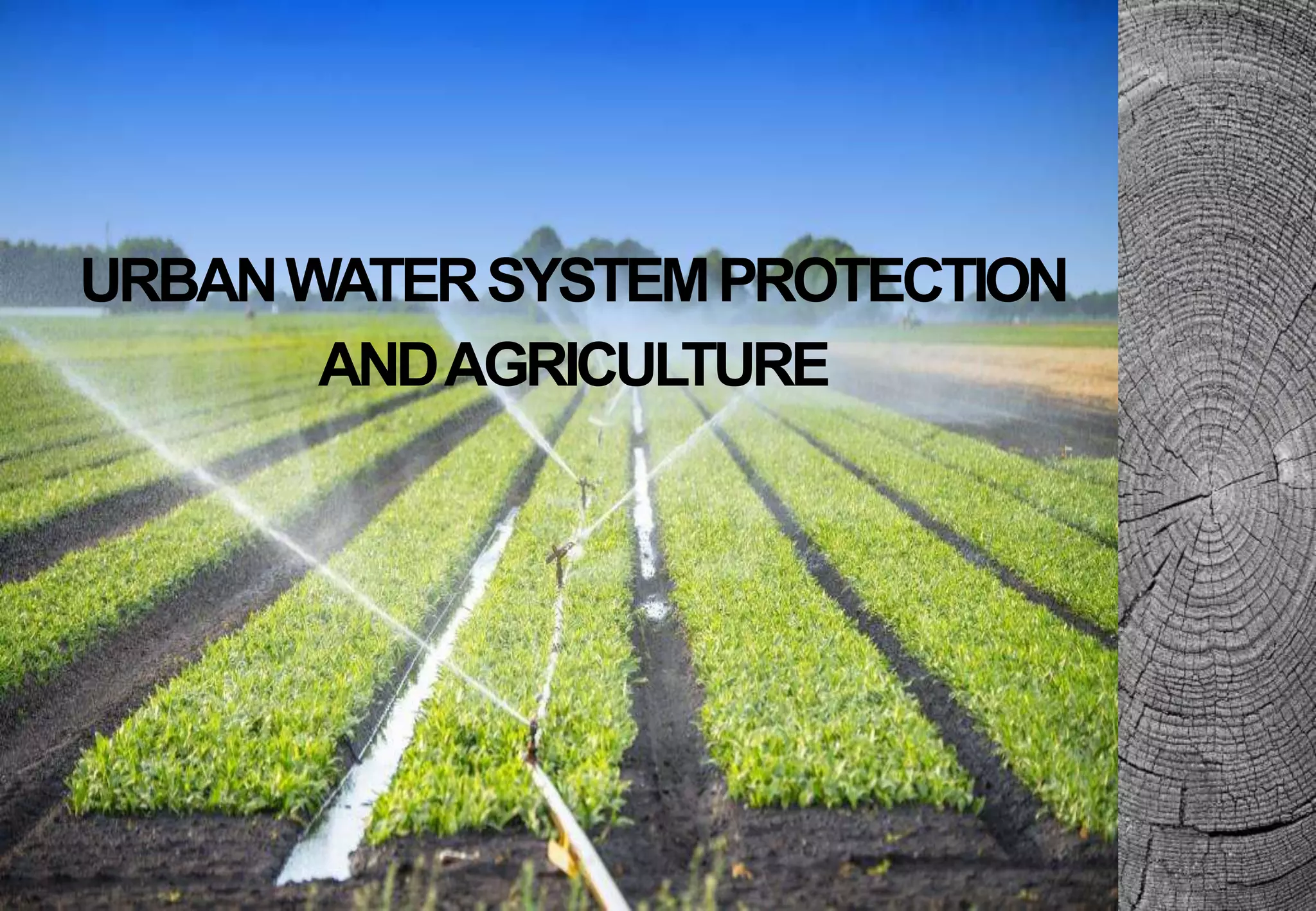 Urban water system protection and agriculture | PPTX