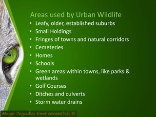 Urban Wildlife Management | PPTX