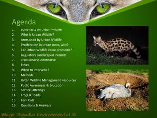 Urban Wildlife Management | PPTX