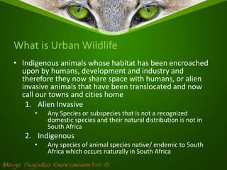 Urban Wildlife Management | PPTX
