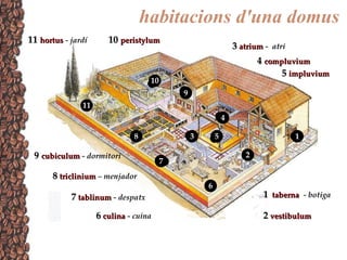 domus romana | ODP