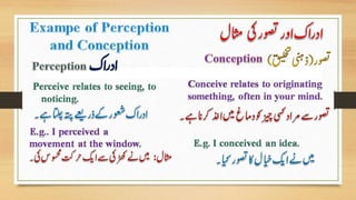 English and Urdu ppt on difference Perception and Conception | PPT