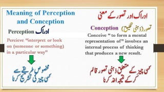 English and Urdu ppt on difference Perception and Conception | PPT