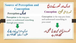 English and Urdu ppt on difference Perception and Conception | PPT