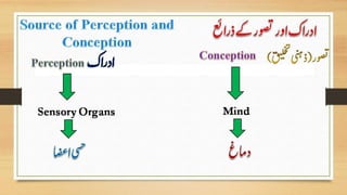 English and Urdu ppt on difference Perception and Conception | PPT