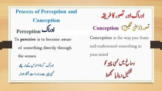 English and Urdu ppt on difference Perception and Conception | PPT