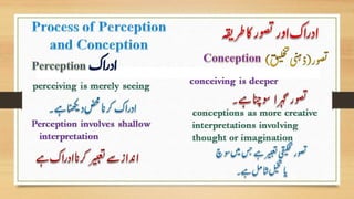 English and Urdu ppt on difference Perception and Conception | PPTX